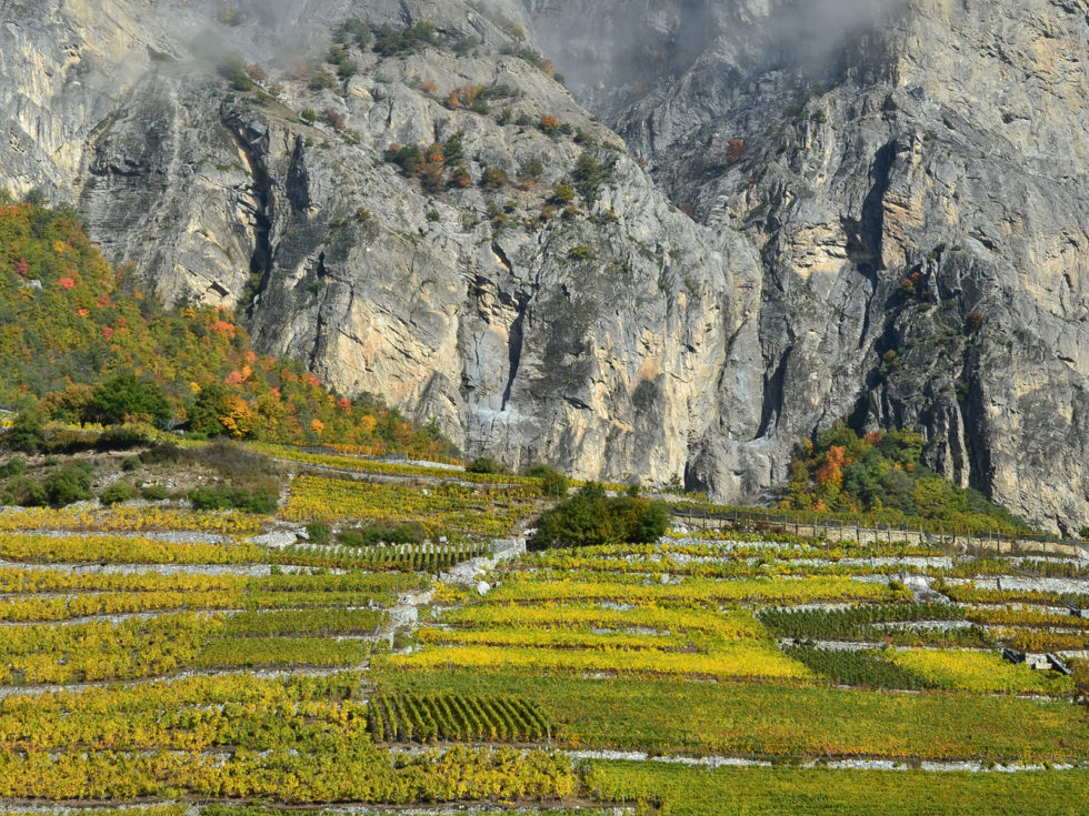 Analyse géo-historique du vignoble valaisan – Bureau Relief